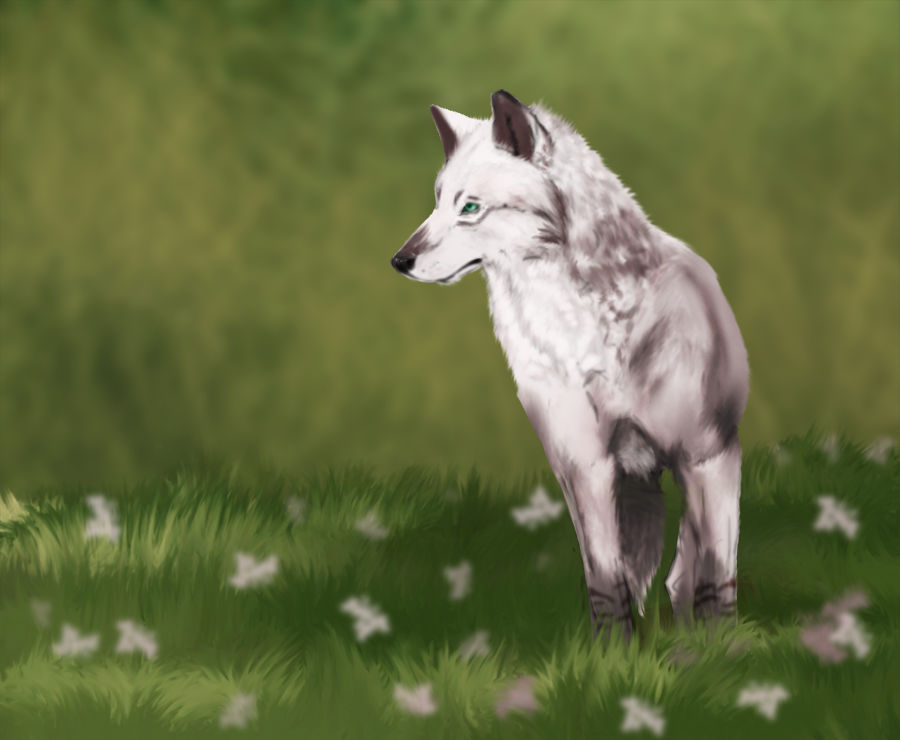 The Greens by Wild-Fowl on DeviantArt