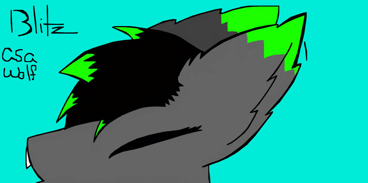 blitz as a wolf by blitzydrawsdaart on DeviantArt