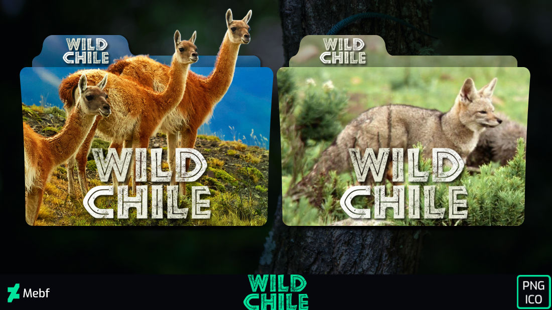 Wild Chile (TV Mini Series 2018) Folder Icons Pack by Mebf on DeviantArt