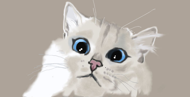 Whaaa? by chewyredhots on DeviantArt