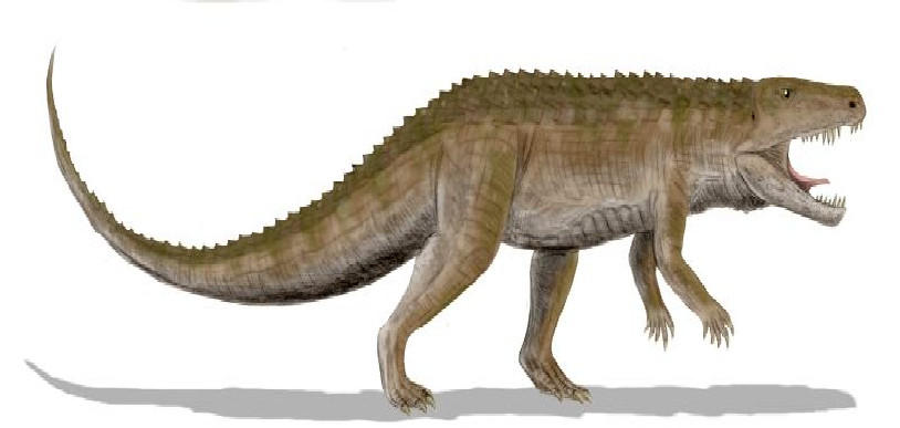 Saurasuchus species Intro. by PonchoFirewalker01 on DeviantArt