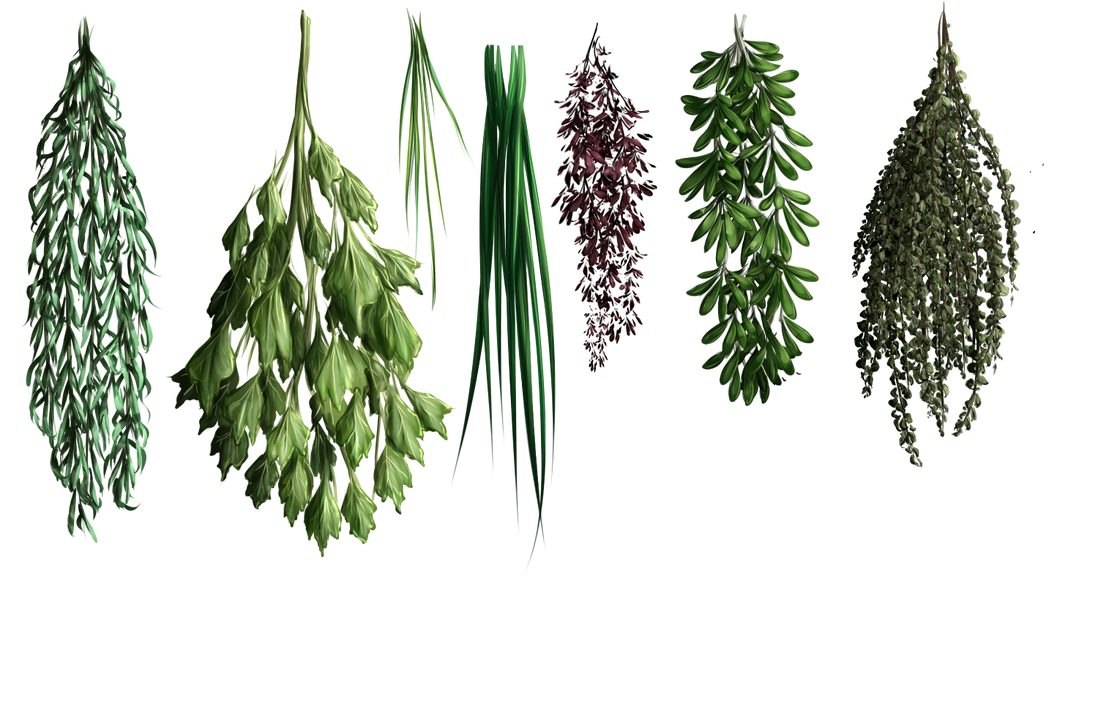 F2U Herbs stock by darkfairyofmadness on DeviantArt