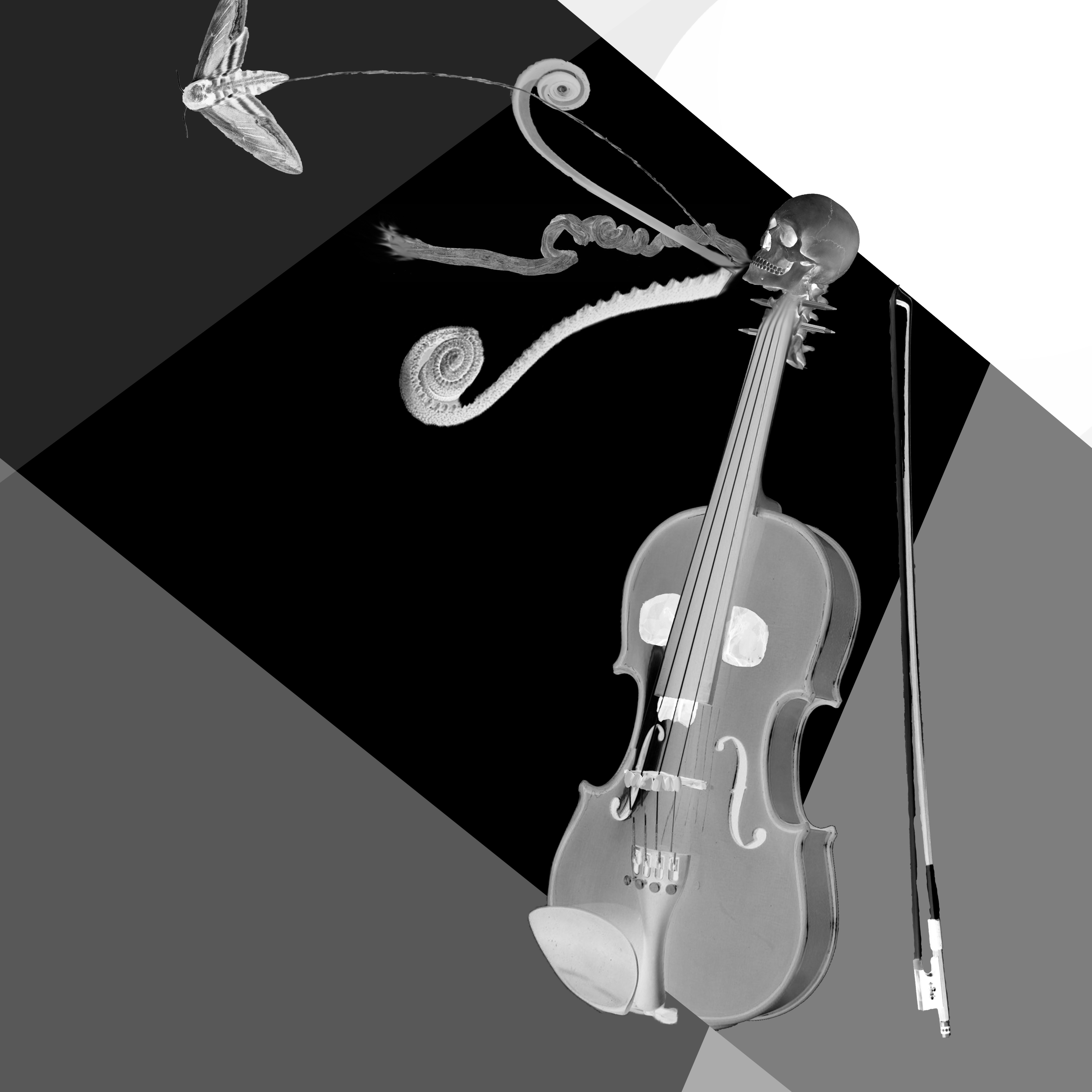 violin by eliastieber on DeviantArt