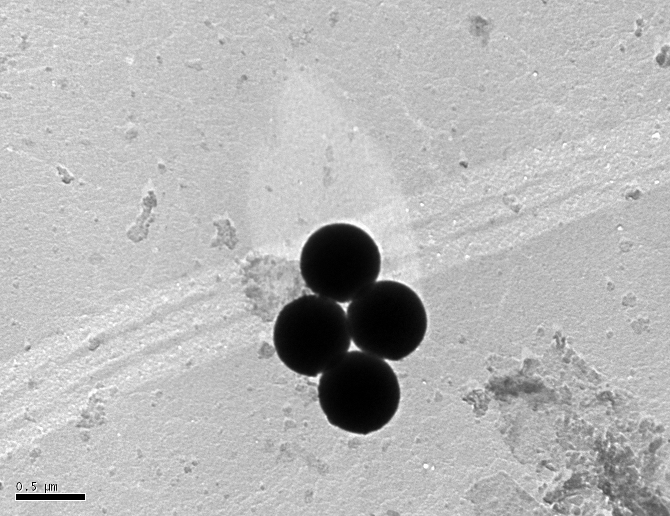 Latex spheres by kate131 on DeviantArt