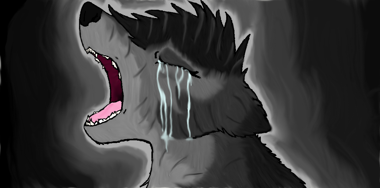 Wolf-OC-Network DeviantArt Favourites