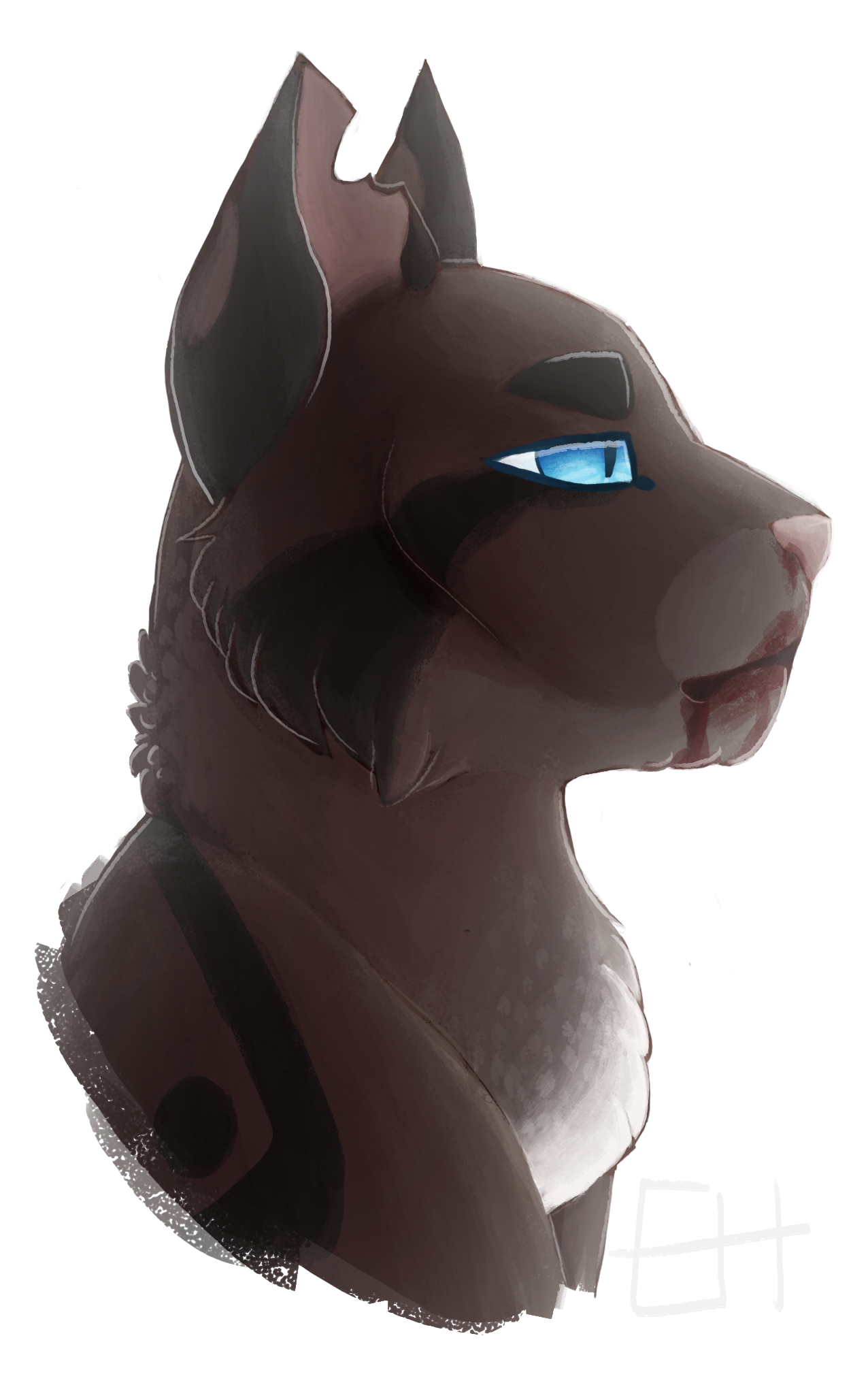 Hawkfrost by firestripetheepic on DeviantArt