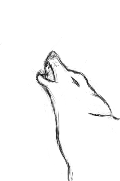Simple Howling Wolf Sketch