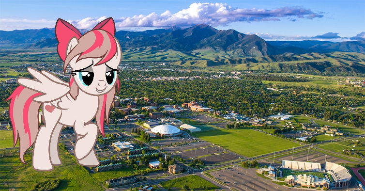 Giant Angel Wings pony in Montana by Edselrobin on DeviantArt