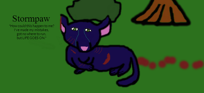 Stormpaw- An Exiled Apprentice by Blizzardshard on DeviantArt