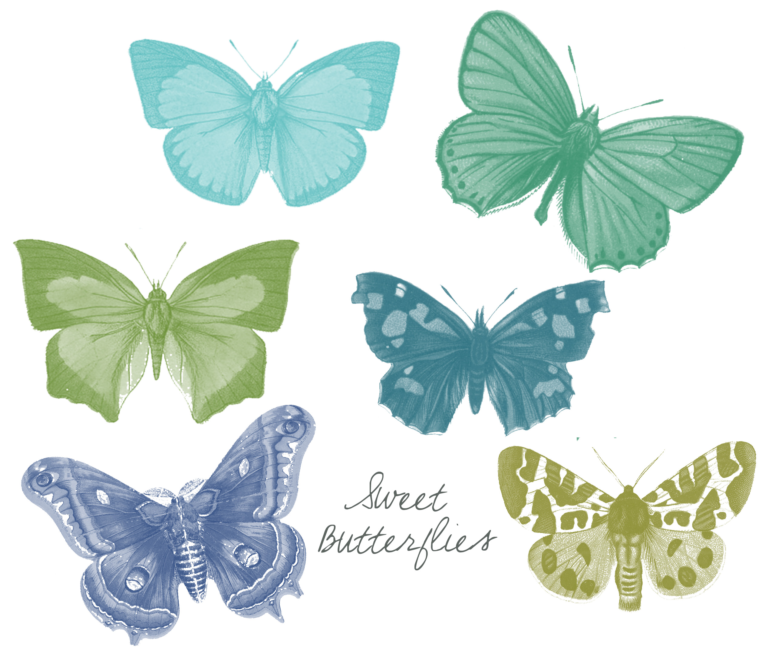 PS Brushes .Vtg Butterflies. by LemonJitters on DeviantArt