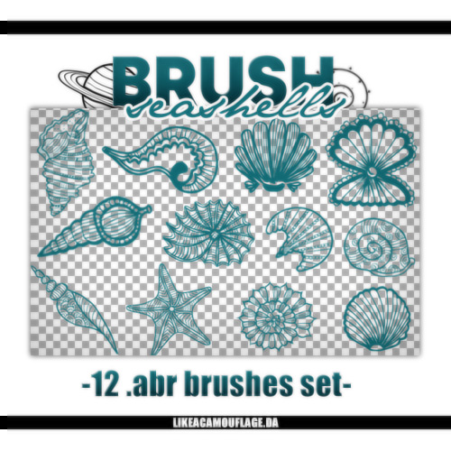 Resource #36: Seashells Brushes Set by LikeACamouflage on DeviantArt