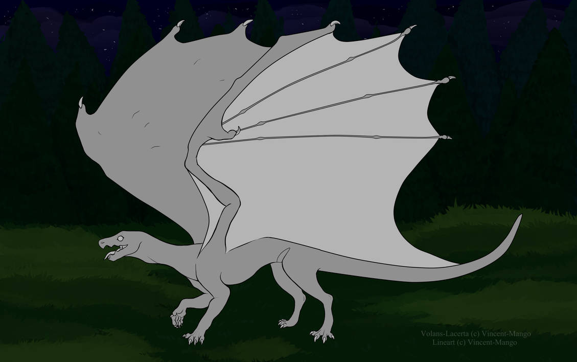 Lacerta Lineart by Deus-Caelo on DeviantArt