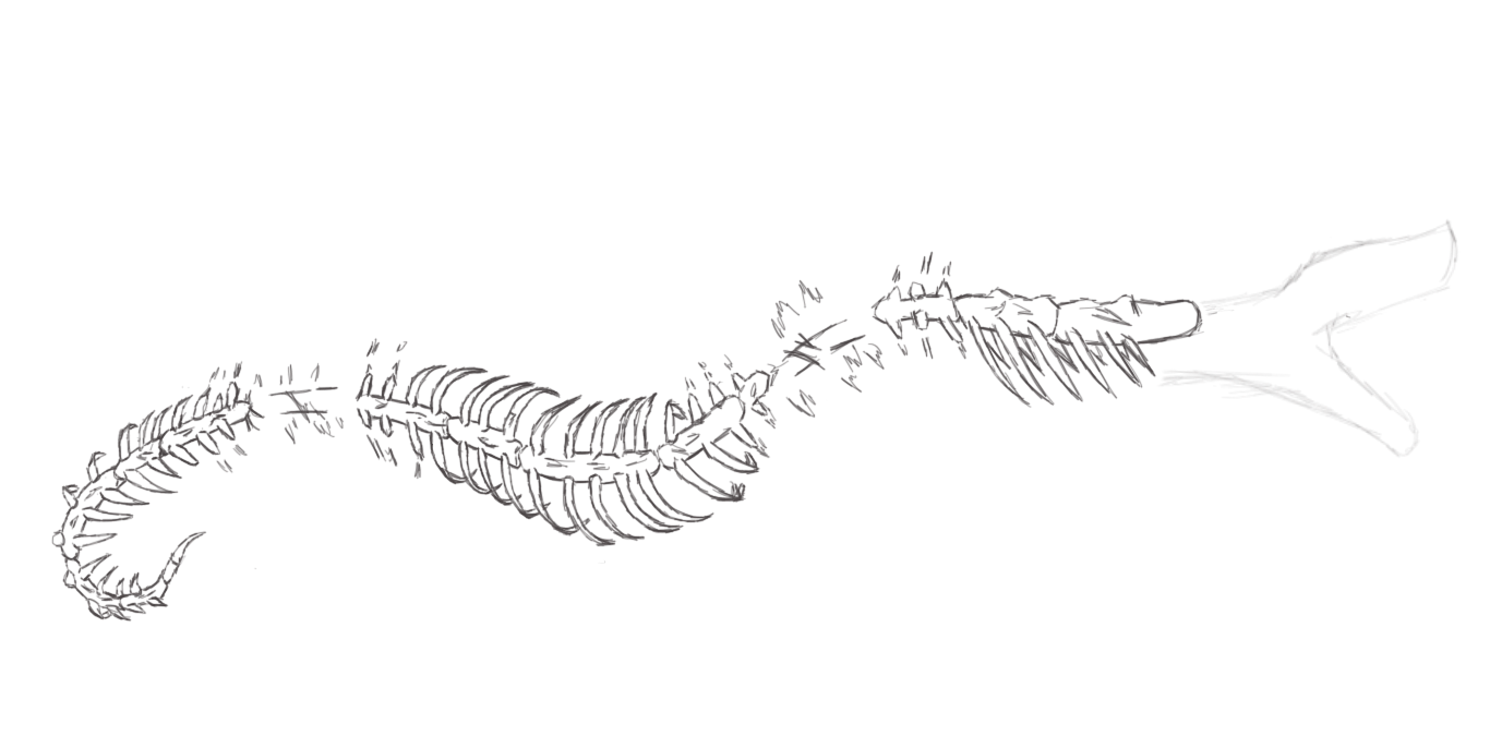 Snake Skeleton by sammyartist on DeviantArt