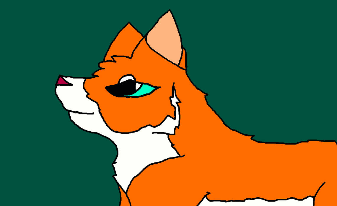 Happy Birthday, Quake! by StardawntheFox on DeviantArt