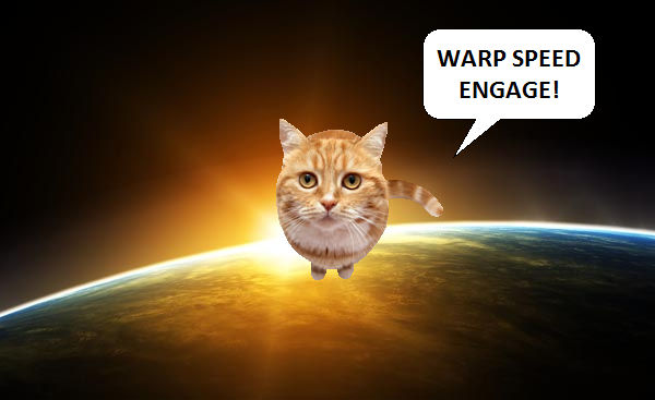 Cat lift off + orbit + warp speed GIF by Ghostexorcist on DeviantArt