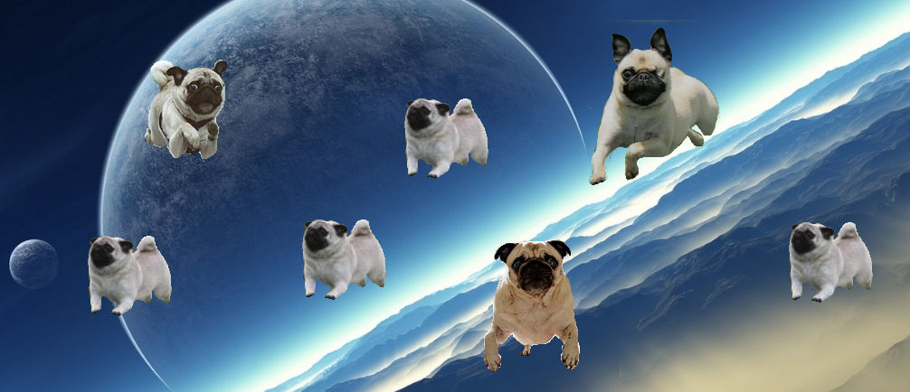 Space pugs by ConfusedTurtles on DeviantArt