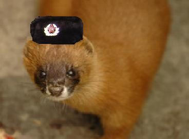 The Red Weasel by Weasel102 on DeviantArt