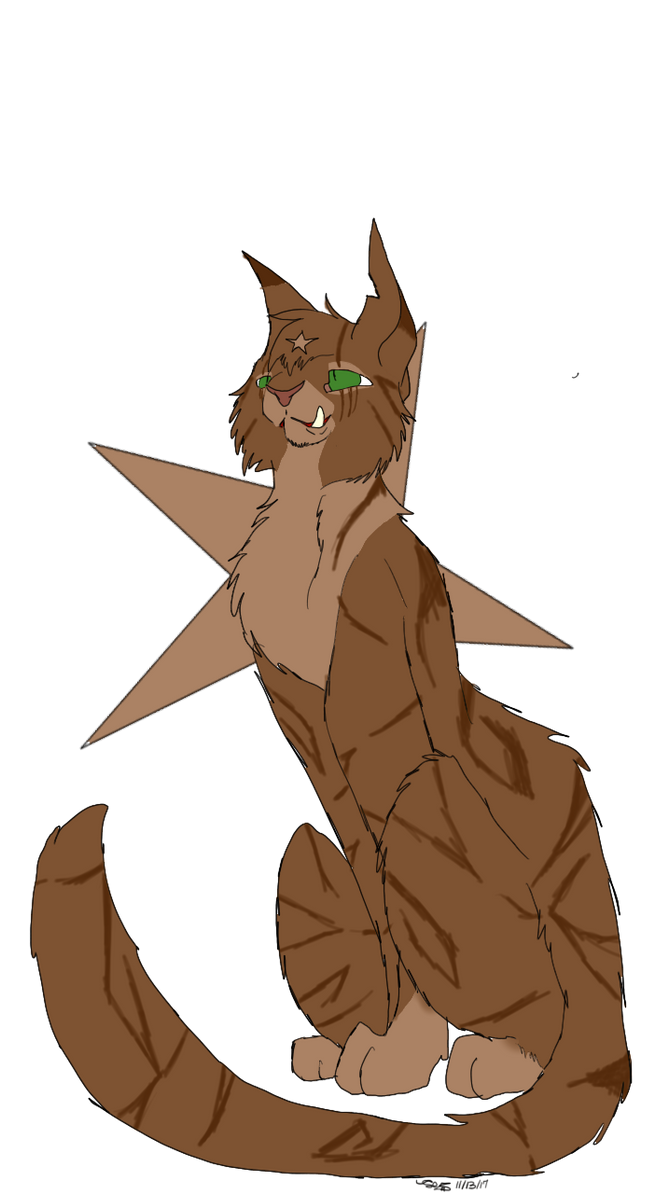 CrookedStar by Frozenstar1249 on DeviantArt