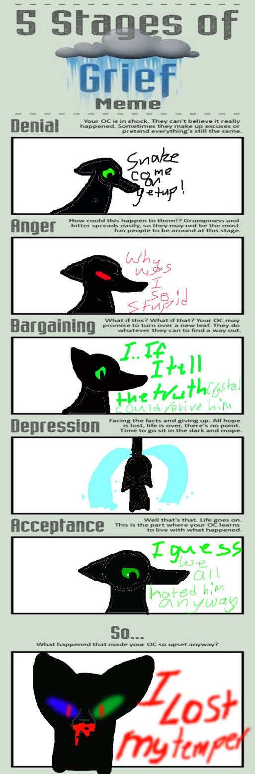 5 stages of grief meme by Poisonofviperclan on DeviantArt