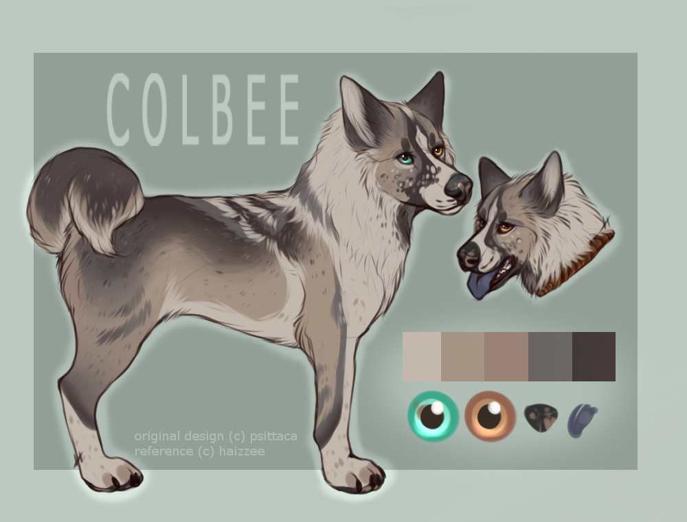 Colbee ref by honey-wisp on DeviantArt