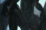 [1080p Gif] Godzilla 1998 Feet 4 by TheProky on DeviantArt