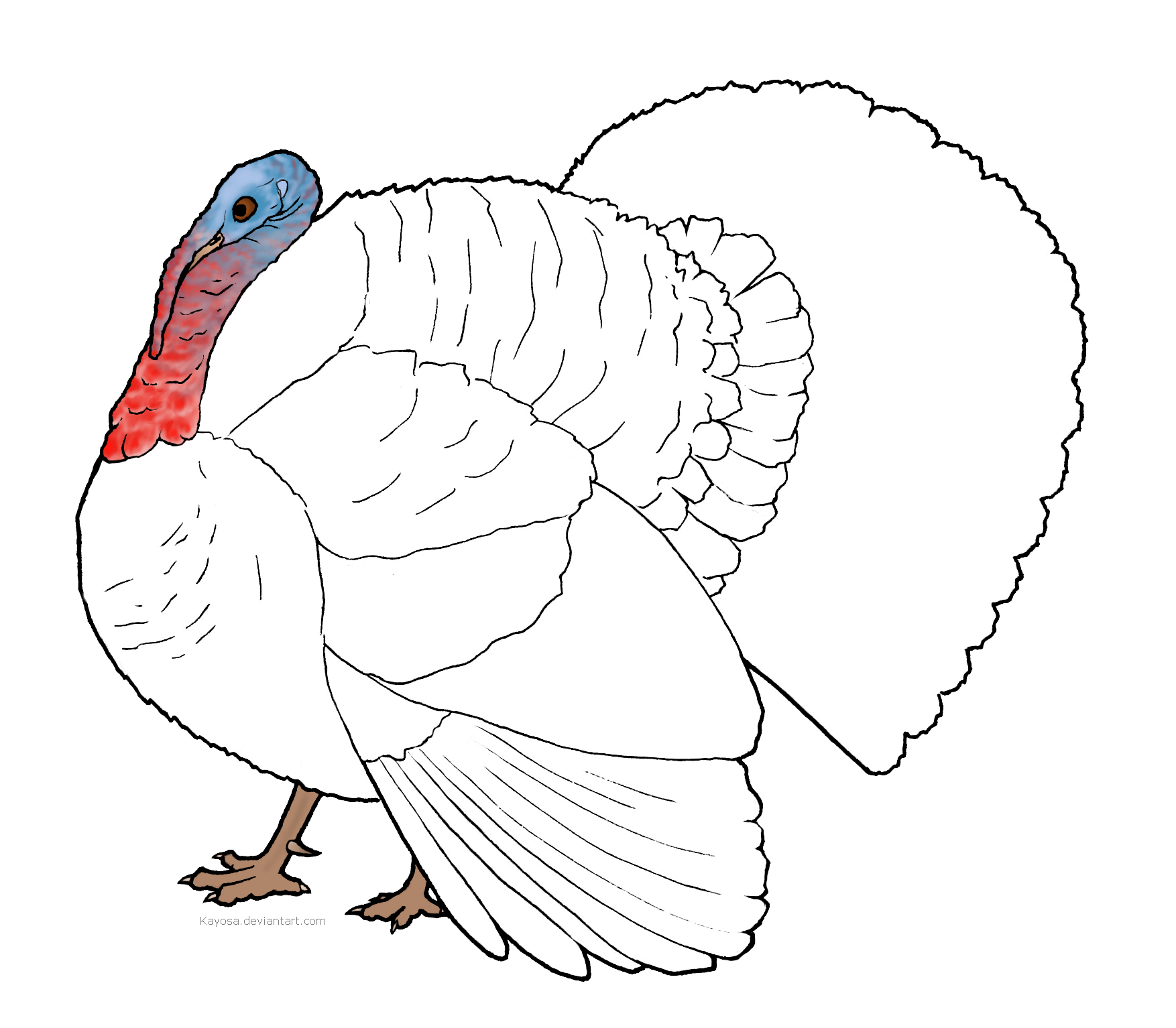 Free Turkey Base by Kayosa on DeviantArt