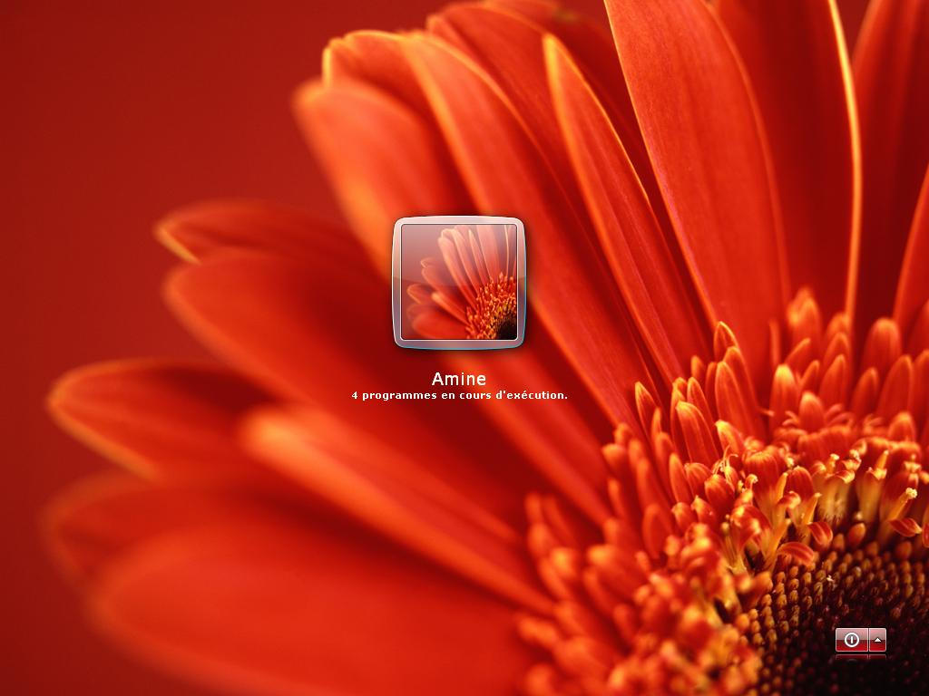Red flower logon for xp by amine5a5 on DeviantArt