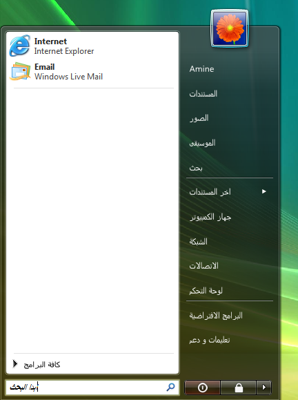 Vistart arabian by amine5a5 on DeviantArt