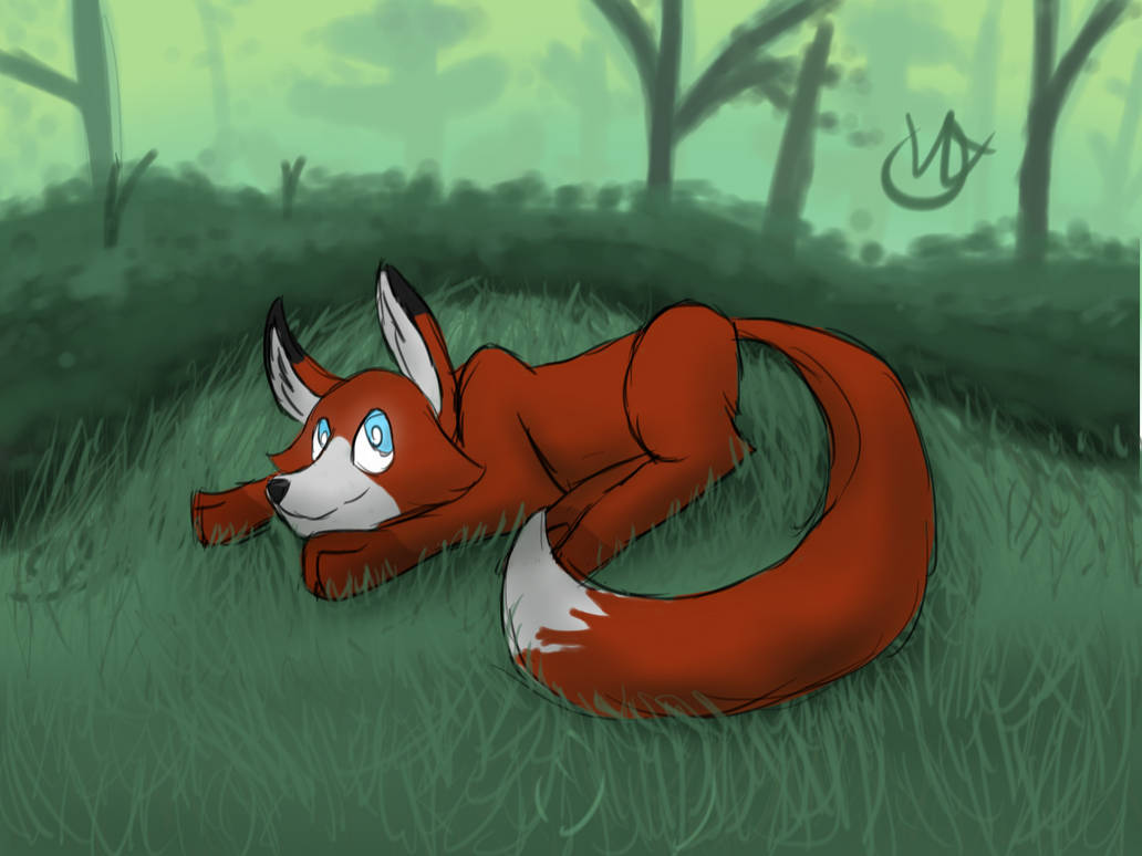 Random Fox by WhiteSoleil on DeviantArt
