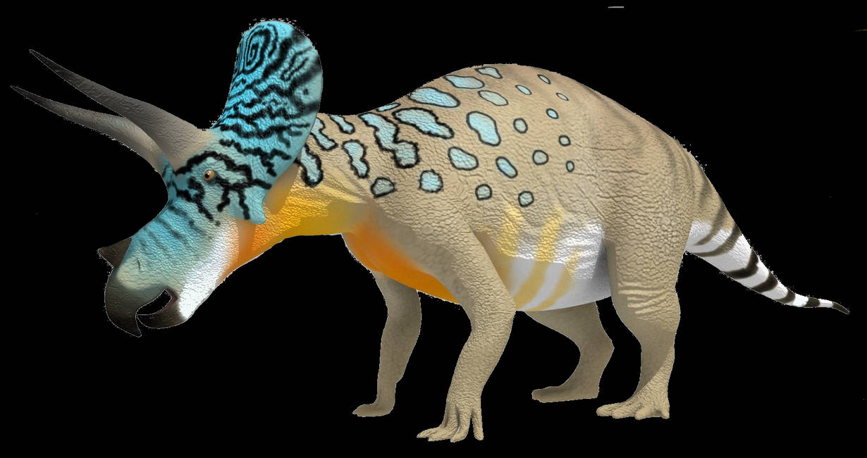 Ceratop by Dylan613 on DeviantArt