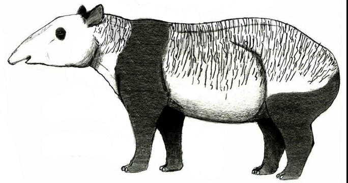 Giant Tapir by Dylan613 on DeviantArt