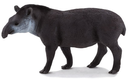 Vero Tapir by Dylan613 on DeviantArt