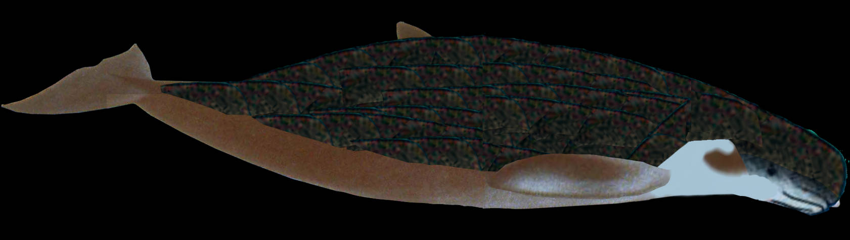 River Whale by Dylan613 on DeviantArt