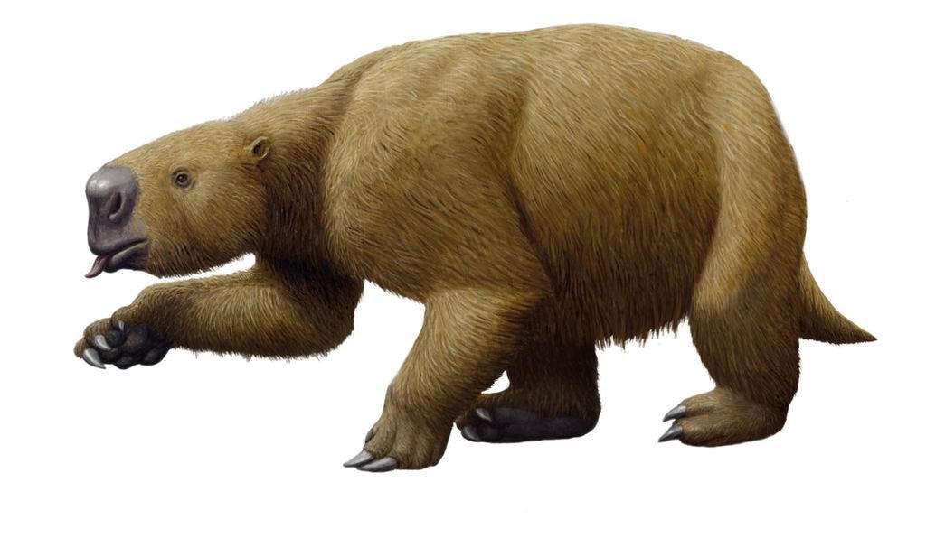 Gloss's Ground Sloth by Dylan613 on DeviantArt