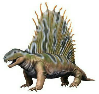 Sailback by Dylan613 on DeviantArt