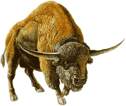 Giant Bison by Dylan613 on DeviantArt