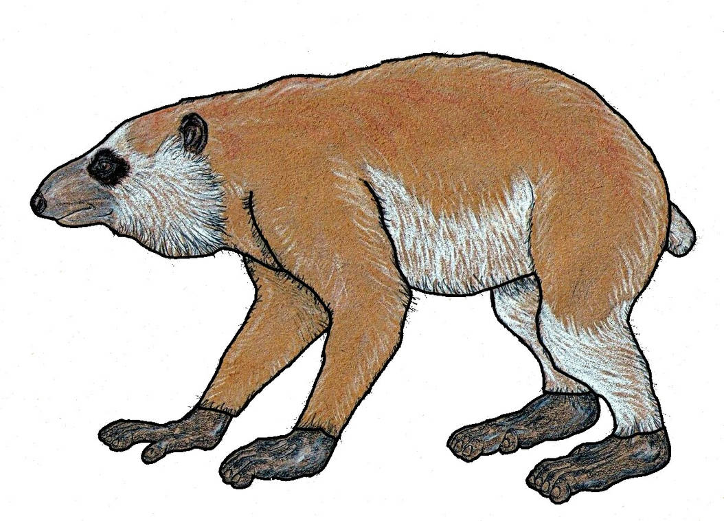 Koala Lemur by Dylan613 on DeviantArt