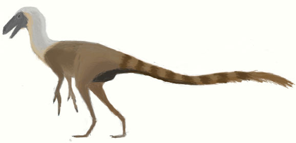 Bird Robber by Dylan613 on DeviantArt