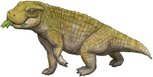 Mesozoic Animals on Megafauna-Revival - DeviantArt