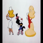 free animaniacs base 5 by Wakkogod173 on DeviantArt