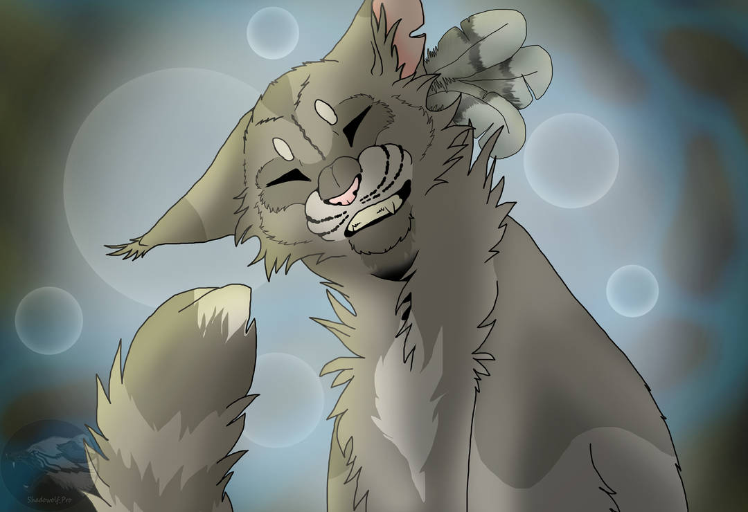 Dovewing - Warrior cats by shadotsuki on DeviantArt
