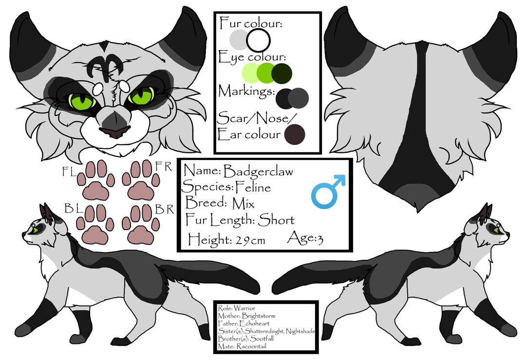 Badgerclaw Reference by shadotsuki on DeviantArt