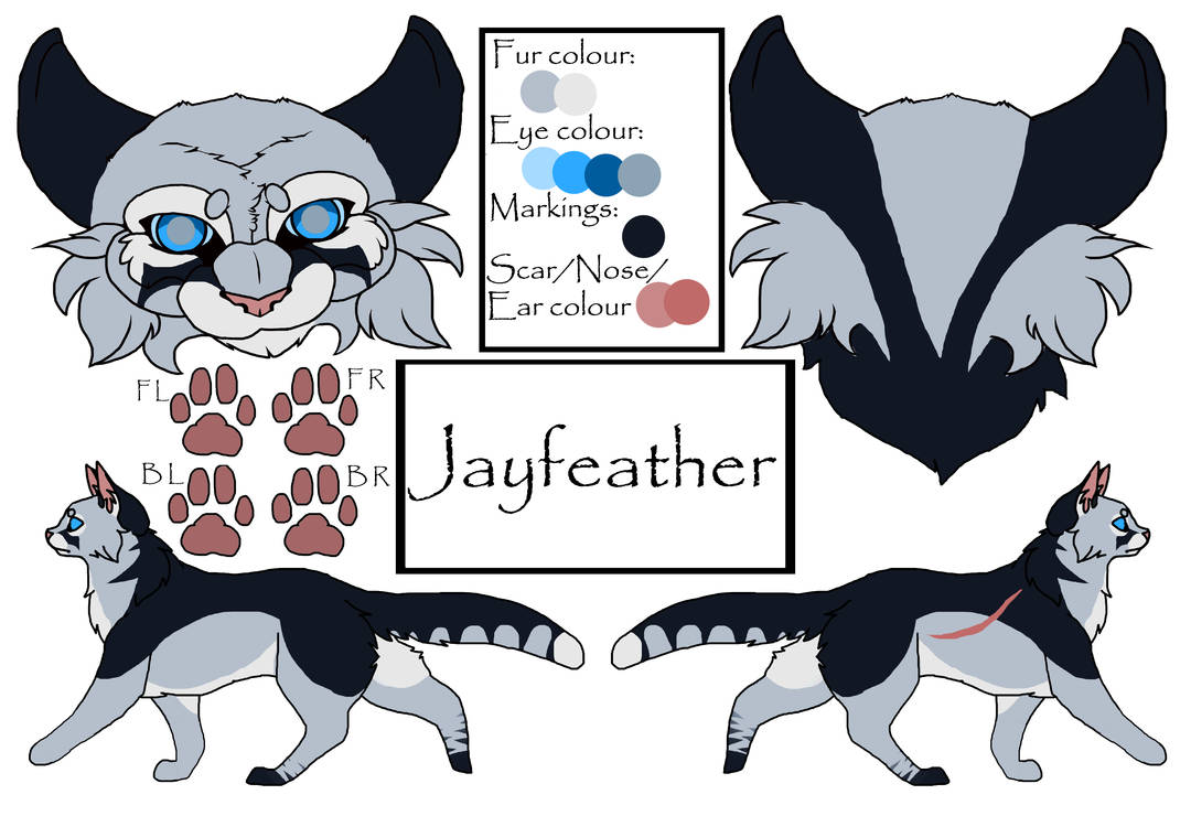 Jayfeather Reference by shadotsuki on DeviantArt
