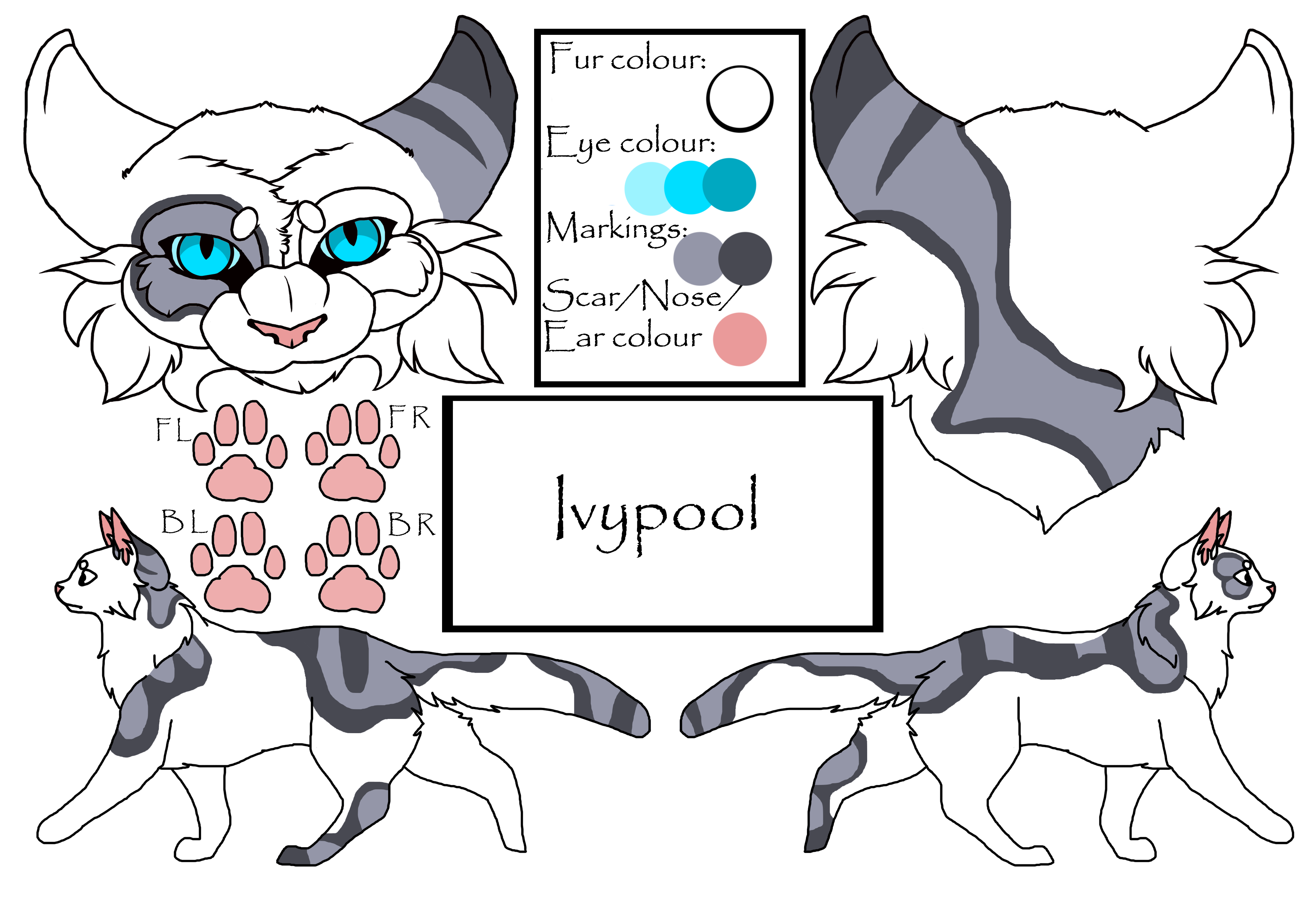 Ivypool by shadotsuki on DeviantArt