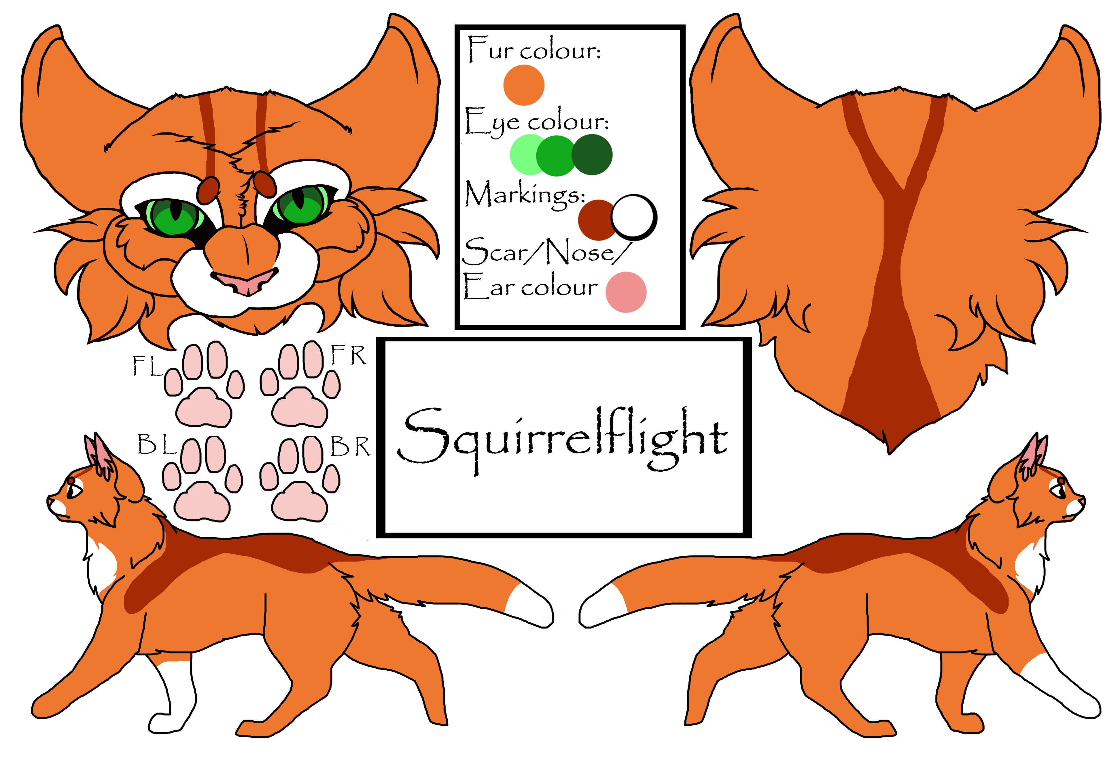 Squirrelflight by shadotsuki on DeviantArt
