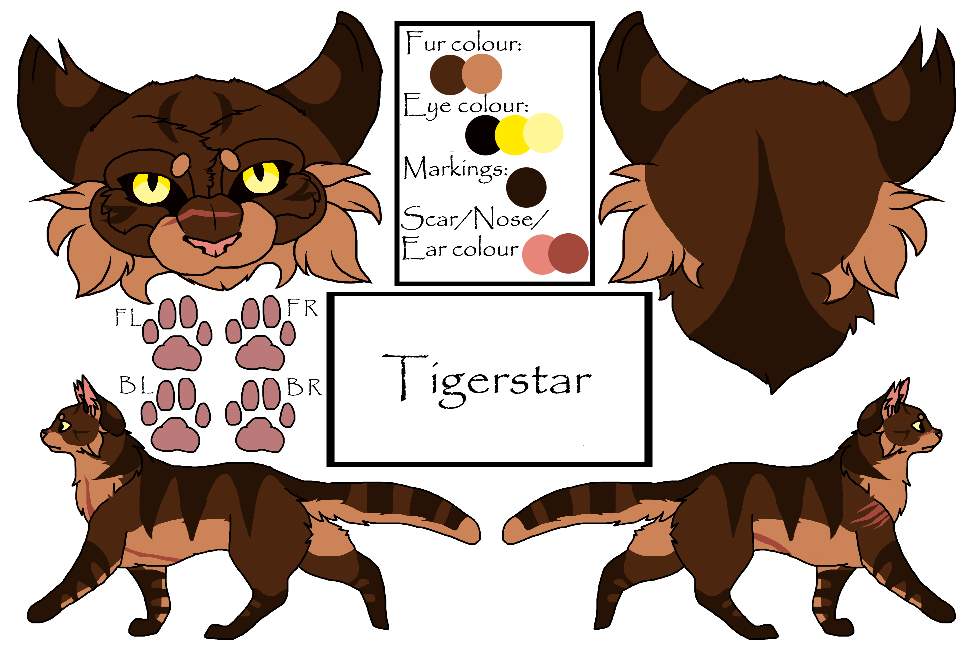 Tigerstar By Shadotsuki On Deviantart