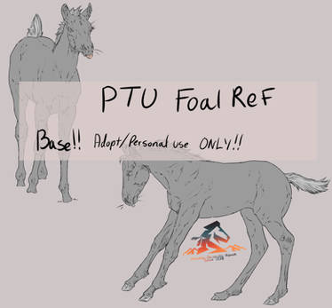 Playful foal base by WicahOwanRanch on DeviantArt