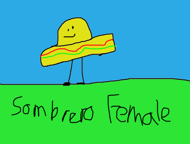 Sombrero by Sandyridims on DeviantArt