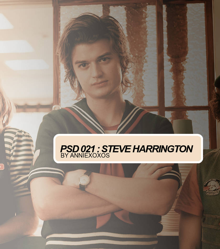 PSD 021 - steve harrington ( version 3 ) by anniexoxos on DeviantArt