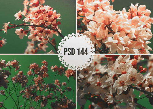 PSD 144 - flower field by anniexoxos on DeviantArt